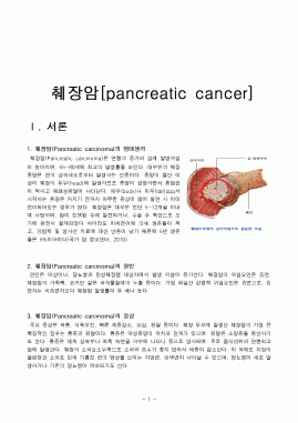 췌장암case, 성인간호학실습, pancreatic cancer,췌장암 케이스-1페이지