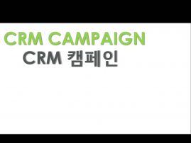 CRM 캠페인,캠페인 프로세스,CRM 캠페인 사례,갤러리아백화점 – VIP CRM-1페이지