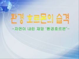 환경호르몬의습격,환경호르몬의정의,환경호르몬의특징,환경호르몬의체내유입경로-1페이지