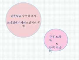 포스코임원 대한항공 승무원 폭행사건,프라임베이커리 회장 호텔 직원 폭행,블랙 컨슈머,우리나라 서비스직의 현 실태-1페이지