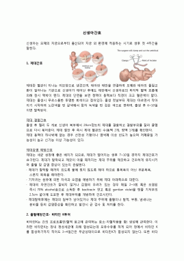 신생아 간호 (제대간호, 출혈예방간호,보육기, 방사보온기, 신생아 광선치료)-1페이지