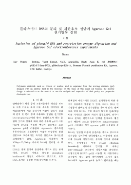 플라스미드 DNA의 분리 및 제한효소 절단과 Agarose Gel 전기영동 실험 실습-1페이지