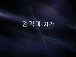 감각과 지각,물리적 세계,세계간의 관계,이론적 절대식역,신호탐지 이론-1페이지