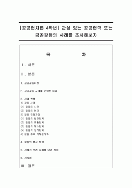 [공공협치론 4학년] 관심 있는 공공협력 또는 공공갈등의 사례를 조사해보자-1페이지