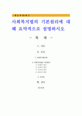 사회복지법의 기본원리에 대해 요약적으로 설명하시오-1페이지