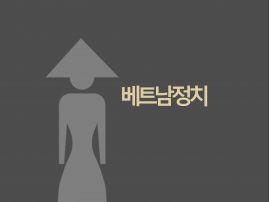 베트남 정치,베트남 역사,베트남의 정치체계,도이모이 정책,베트남 국가 개요,프랑스 식민지화-1페이지