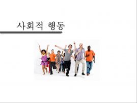 사회적행동,사회심리학의정의,사회지각,타인지향행동,집단역학,사회역학-1페이지