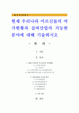 현재 우리나라 어르신들의 여가현황과 실버산업의 가능한 분야에 대해 기술하시오-1페이지