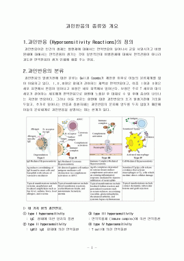 면역과민반응의 종류와 개요 (Hypersensitivity reactions)-1페이지