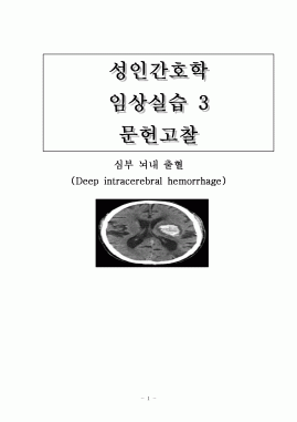 성인간호학 심부뇌내출혈 문헌고찰-1페이지