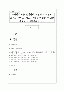 고령화사회를 맞이하여 노인의 4고(빈고, 고독고, 무위고, 병고) 문제를 해결할 수 있는 다양한 노인복지정책 방안-1페이지