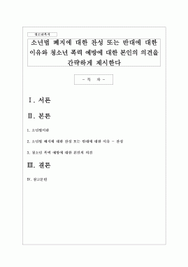 소년법 폐지에 대한 찬성 또는 반대에 대한 이유와 청소년 폭력 예방에 대한 본인의 의견을 간략하게 제시한다-1페이지