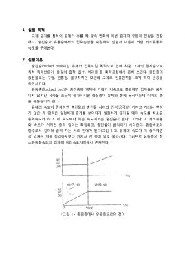 [화공공정실습설계1] 충진층 결과 레포트-1페이지