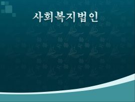 사회복지법인,사회복지법인의 의의,사회복지법인의 설립,사회복지법인의 사업,사회복지시설의 설치-1페이지