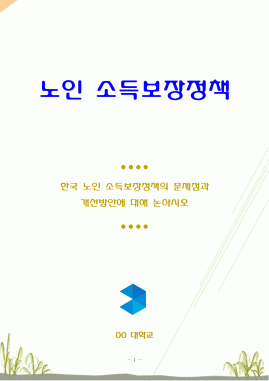 한국 노인 소득보장정책의 문제점과 개선방안에 대해 논하시오-1페이지