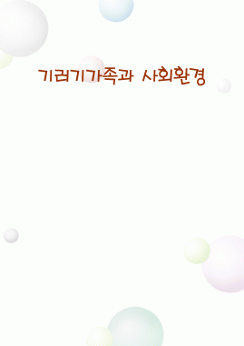 기러기가족과 사회환경-1페이지