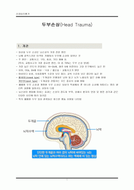 폐쇄형관통형 두부손상(Head Trauma)-1페이지