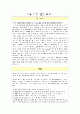 [식품가공학] 버터 제조 실험 보고서-1페이지