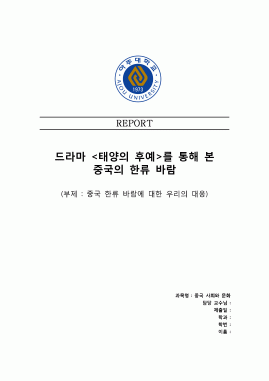 드라마 태양의 후예를 통해 본 중국의 한류 바람 - 중국 한류 바람에 대한 우리의 대응-1페이지