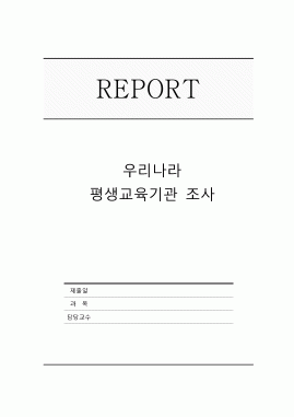 우리나라 평생교육기관 조사-1페이지