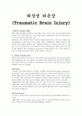 외상성 뇌손상 (Traumatic Brain Injury)-1페이지