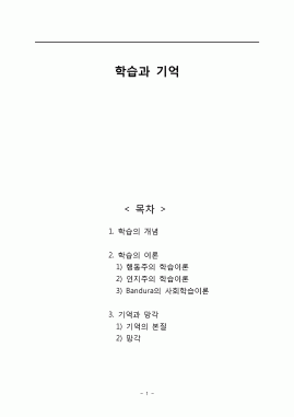 학습과 기억 (개념, 행동주의 학습이론, 인지주의, Bandura의 사회학습이론)-1페이지