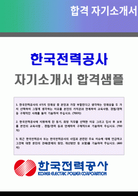 한국전력공사 신입직원/공채 자기소개서 합격예시 (한국전력공사 취업 합격자소서/한국전력공사 지원동기 이력서 샘플)-1페이지