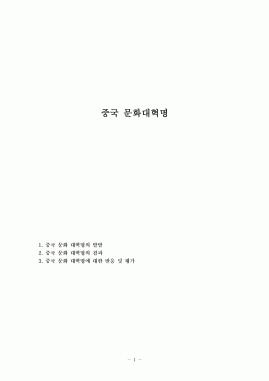 중국 문화대혁명-1페이지