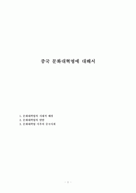 중국 문화대혁명에 대해서-1페이지