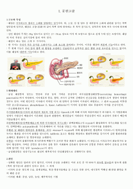 A+ 간호진단 3개 성인간호학실습 급성췌장염 케이스스터디 간호과정-1페이지