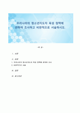 우리나라의 청소년지도자 육성 정책에 관하여 조사하고 비판적으로 서술하시오-1페이지