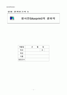 [일반화학실험 A+ 1등 자료] 청사진(blueprint)의 광화학 결과보고서-1페이지