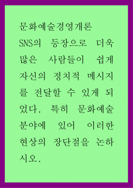 문화예술경영개론 ) SNS의 등장으로 더욱 많은 사람들이 쉽게 자신의 정치적 메시지를 전달할 수 있게 되었다-1페이지