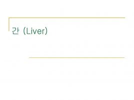 Liver-1페이지