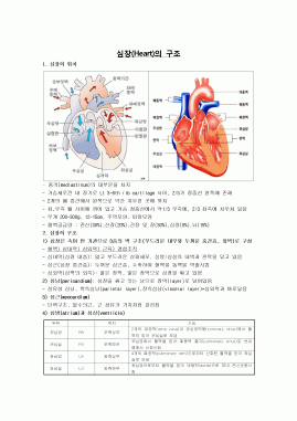 심장의 기능,구조,검사-1페이지
