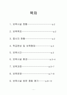 보육시설방문보고서(기관분석)-1페이지