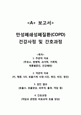 만성폐쇄성폐질환COPD 건강사정 및 간호과정(중재 9개 포함)-1페이지