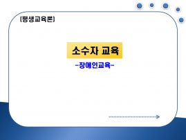 [평생교육론] 장애인교육, 소수자교육-1페이지