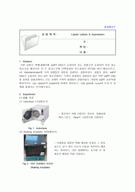 LB배지를 이용한 배양_Liquid culture & Expression_결과레포트-1페이지