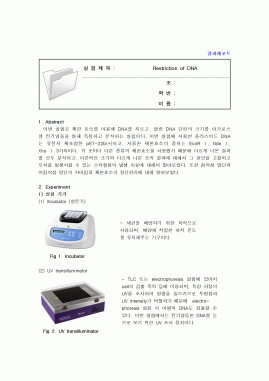 제한효소를 이용한 Restriction of DNA_결과레포트-1페이지