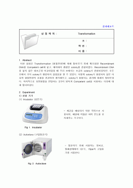 형질전환 실험_Transformation_결과레포트-1페이지