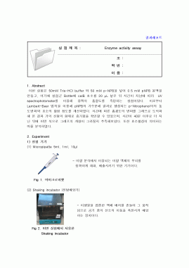 효소의 활성 실험_Enzyme activity assay_결과레포트-1페이지