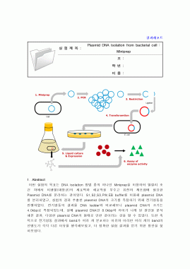 생물화학공학이론및 실험_ Miniprep_PCR_Restriction_Transformation_Liquid culture_Enzyme activity 전 실험 과정 통합 실험 과정_ 결과레포트-1페이지