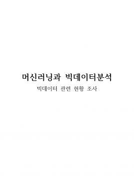 빅데이터 현황조사 레포트-1페이지