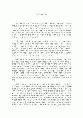 [서평][중국시장] 중국 함정을 읽고 쓴 서평-1페이지