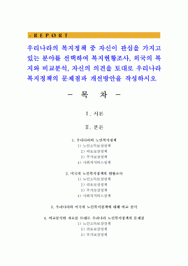 우리나라의 복지정책 중 자신이 관심을 가지고 있는 분야를 선택하여 복지현황조사, 외국의 복지와 비교분석, 자신의 의견을 토대로 우리나라 복지정책의 문제점과 개선방안을 작성하시오-1페이지