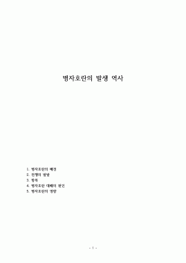 병자호란의 발생 역사-1페이지