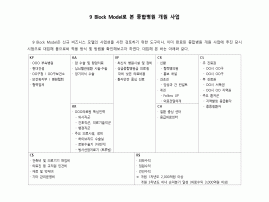 9 Block Model로 본 종합병원 개원 사업-1페이지