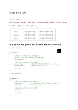 [대학 프로그래밍 C언어] 10. 문자와 문자열-1페이지