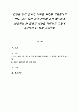 인간은 감각 정보의 80%를 시각에 의존한다고 한다-1페이지